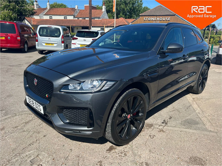 Showroom | Green Tree Cars