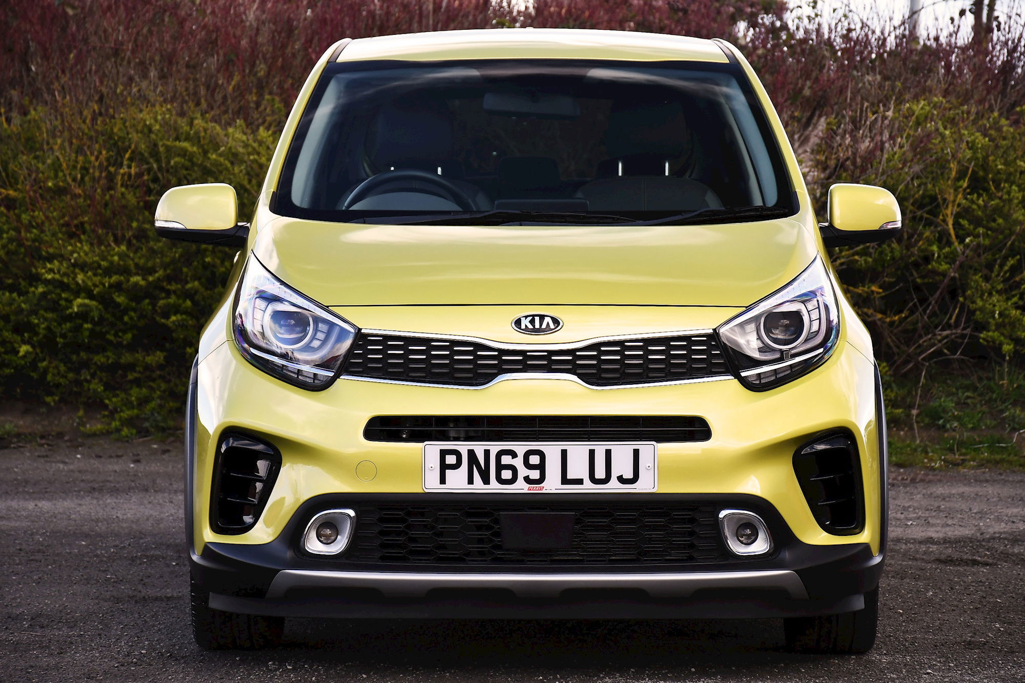 Used Kia Picanto 1.25 X-Line Hatchback 5dr Petrol Manual Euro 6 (83 bhp ...