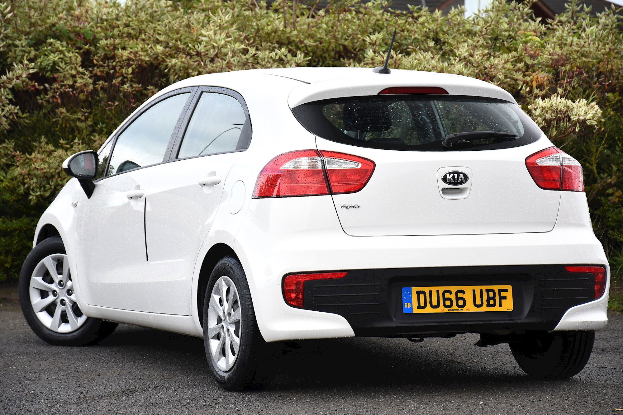 Used Kia Rio 1.25 1 Air Hatchback 5dr Petrol Manual Euro 6 (84 bhp ...